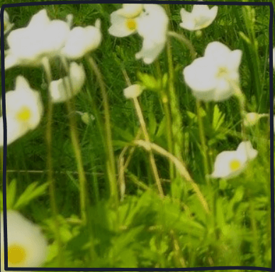 Differensiasie | Wiskunde is maklik