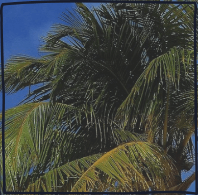 Funksies | Wiskunde is maklik