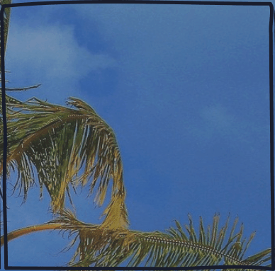 Funksies | Wiskunde is maklik