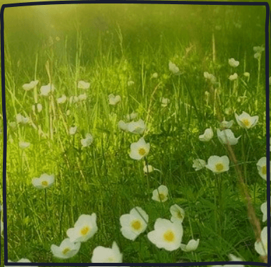 Differensiasie | Wiskunde is maklik